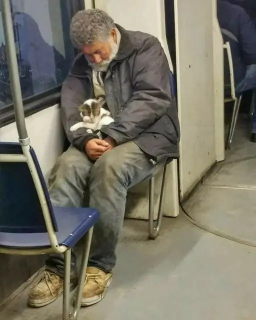 "Just Keeping Her Warm": The Homeless Man Who Saved a Kitten - And How ...