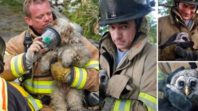 How a Young Firefighter’s Bold Plan Saved a Bleeding Woman’s Life