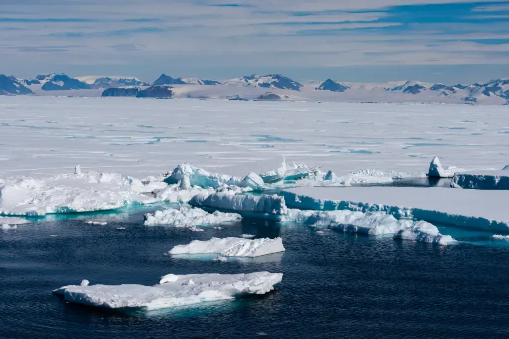 Antarctic Ice Sheet Surges in Mass Between 2021 and 2023, Scientists ...